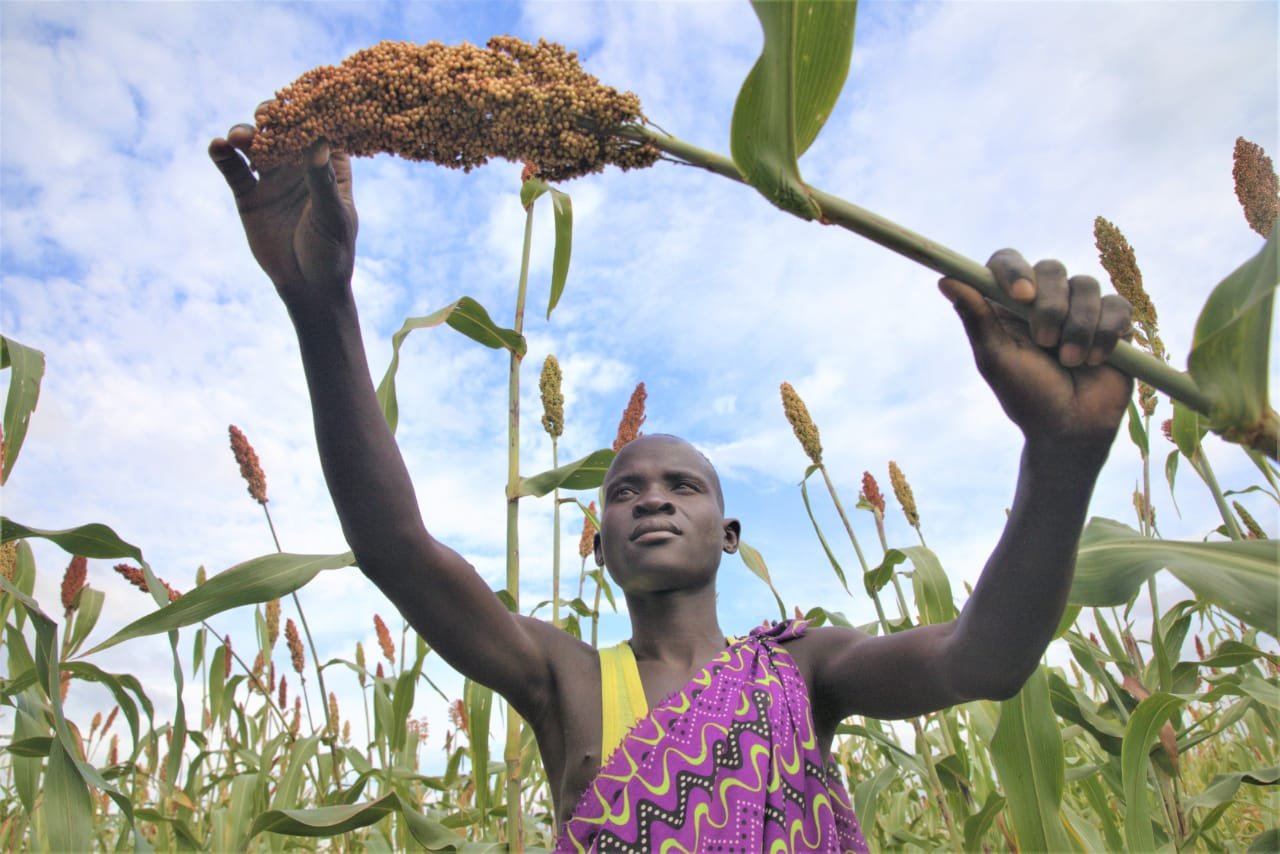 Seeds, value addition equipment lift for former refugees - PanAfrican ...