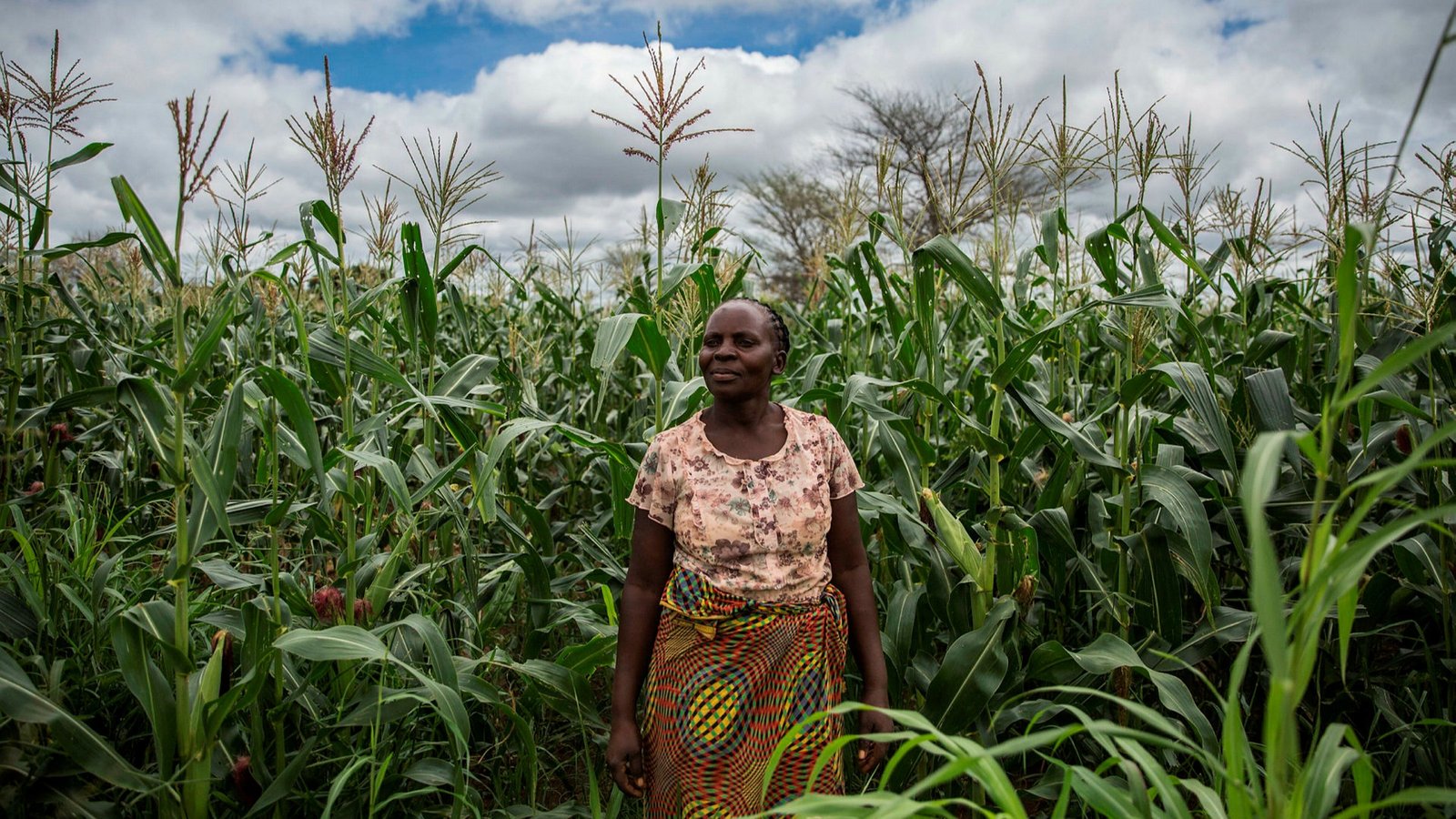 Unlocking Africa’s food-production potential to dominate 2nd ...
