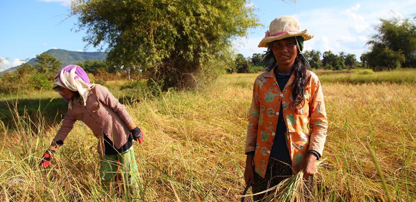 IFAD, the UN’s rural development agency, and India deepen shared ...