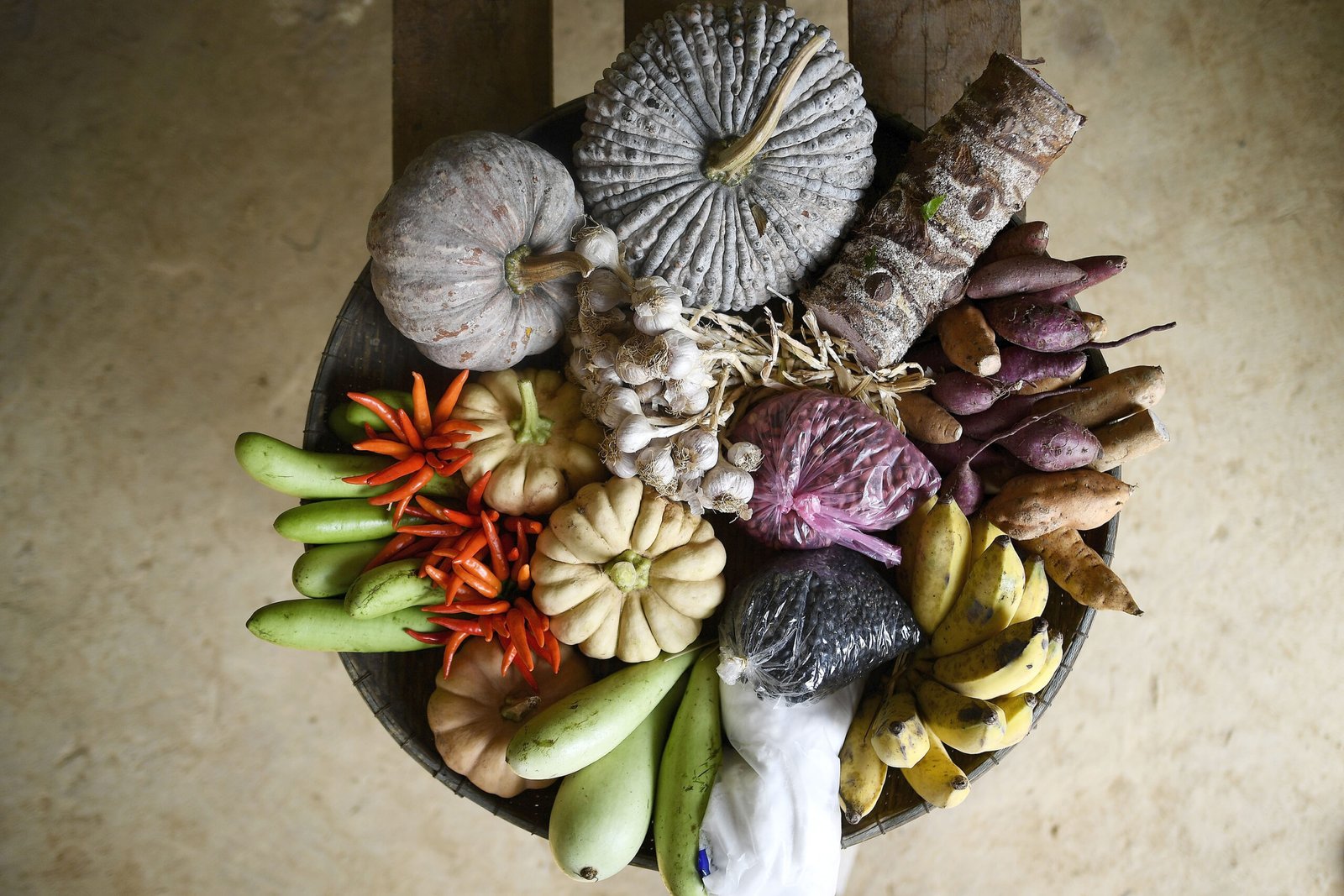 FAO launches new portal for statistics on Food and Diet New FAOSTAT ...