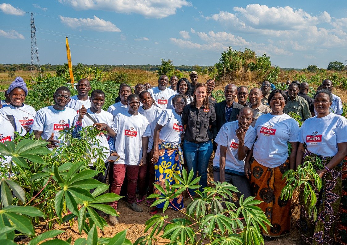 Why cassava is the next big thing in Zambia - PanAfrican Agriculture