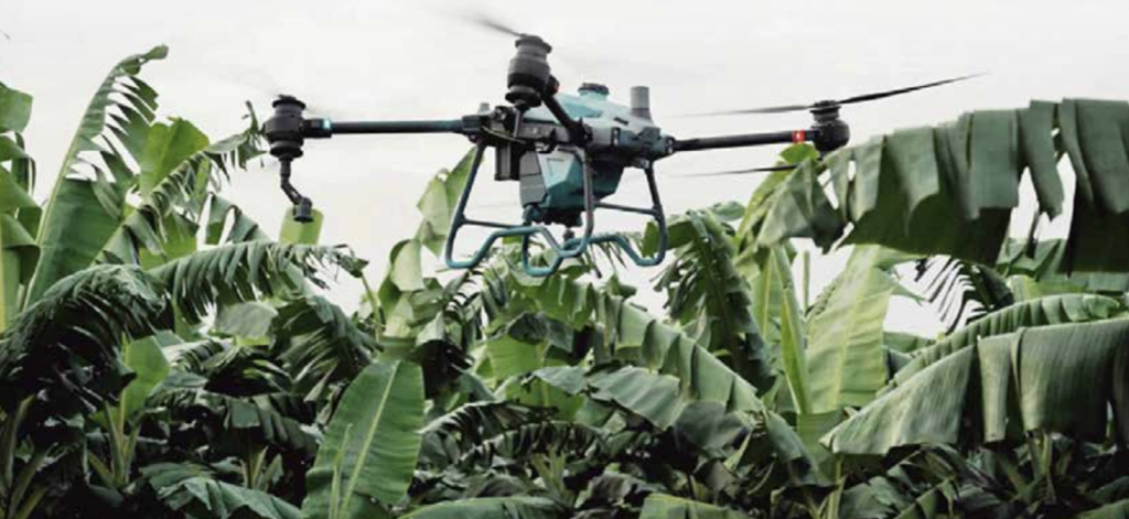 Drones drive production growth on Cameroon’s banana plantation ...