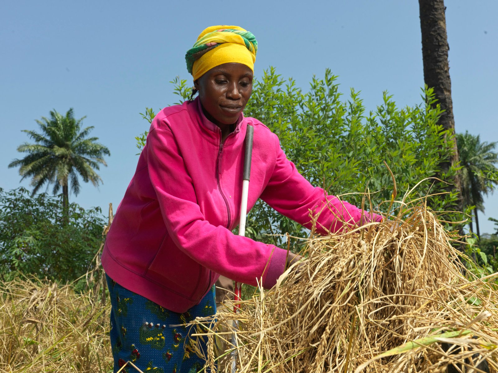 IFAD and the Development Bank of Southern Africa partner for rural ...